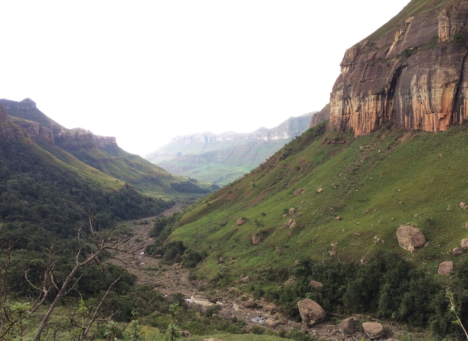 Drakensberg :: Vertical Garden Design
