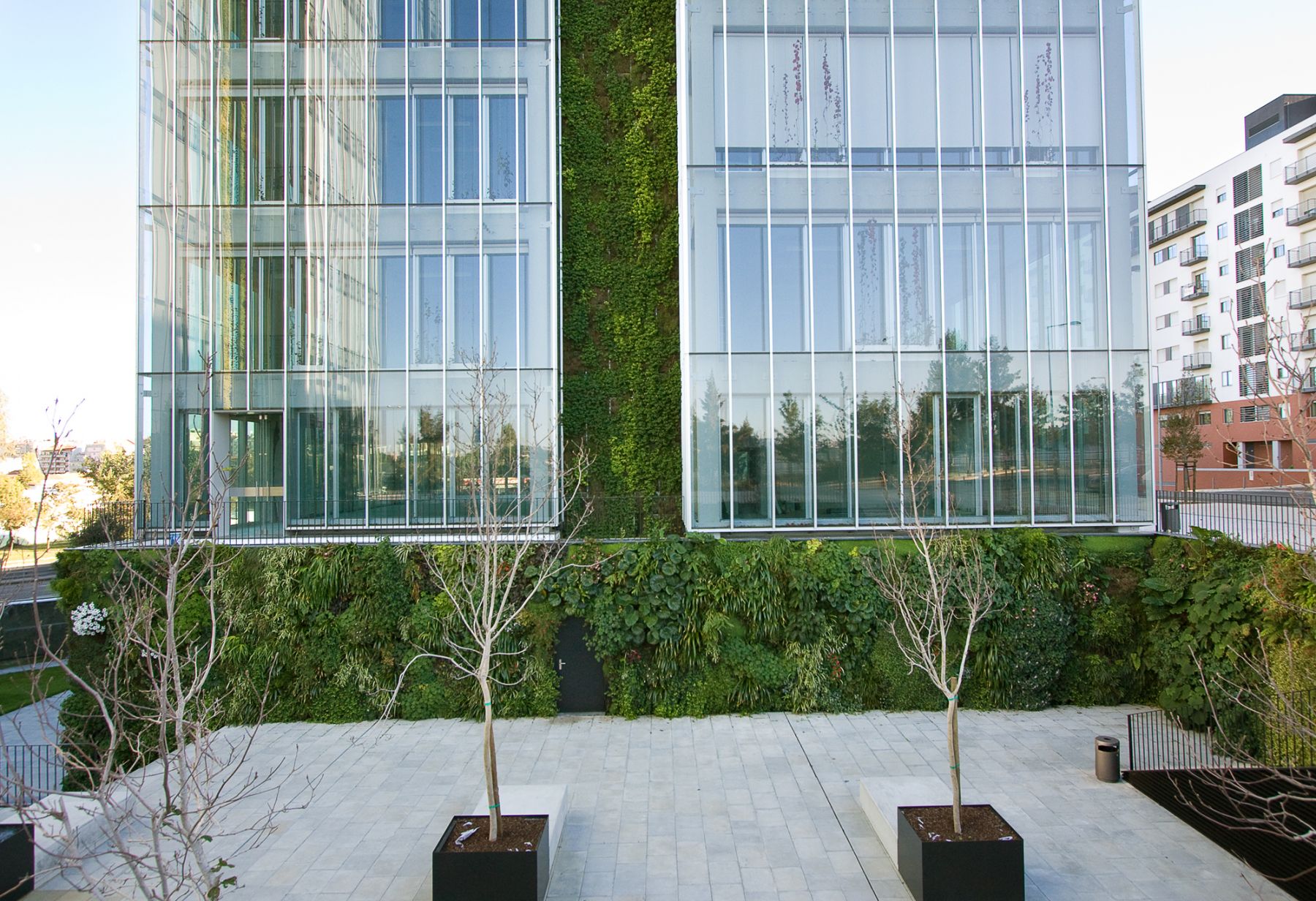 MSF | Vertical Garden Design