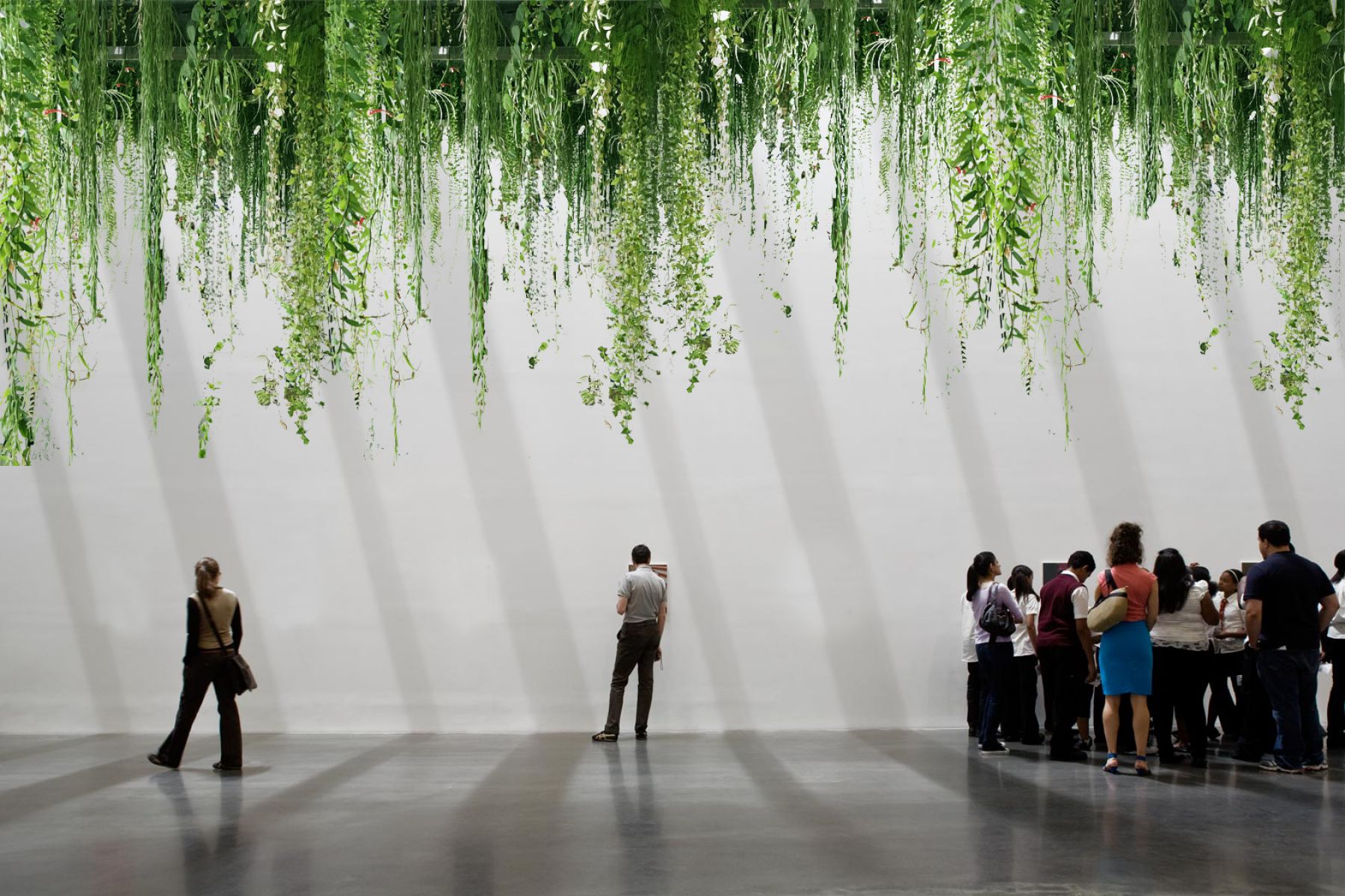 Canopy | Plant ceiling | Vertical Garden Design