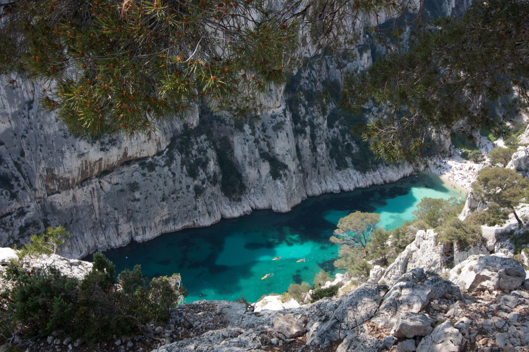 Les Calanques :: Vertical Garden Design