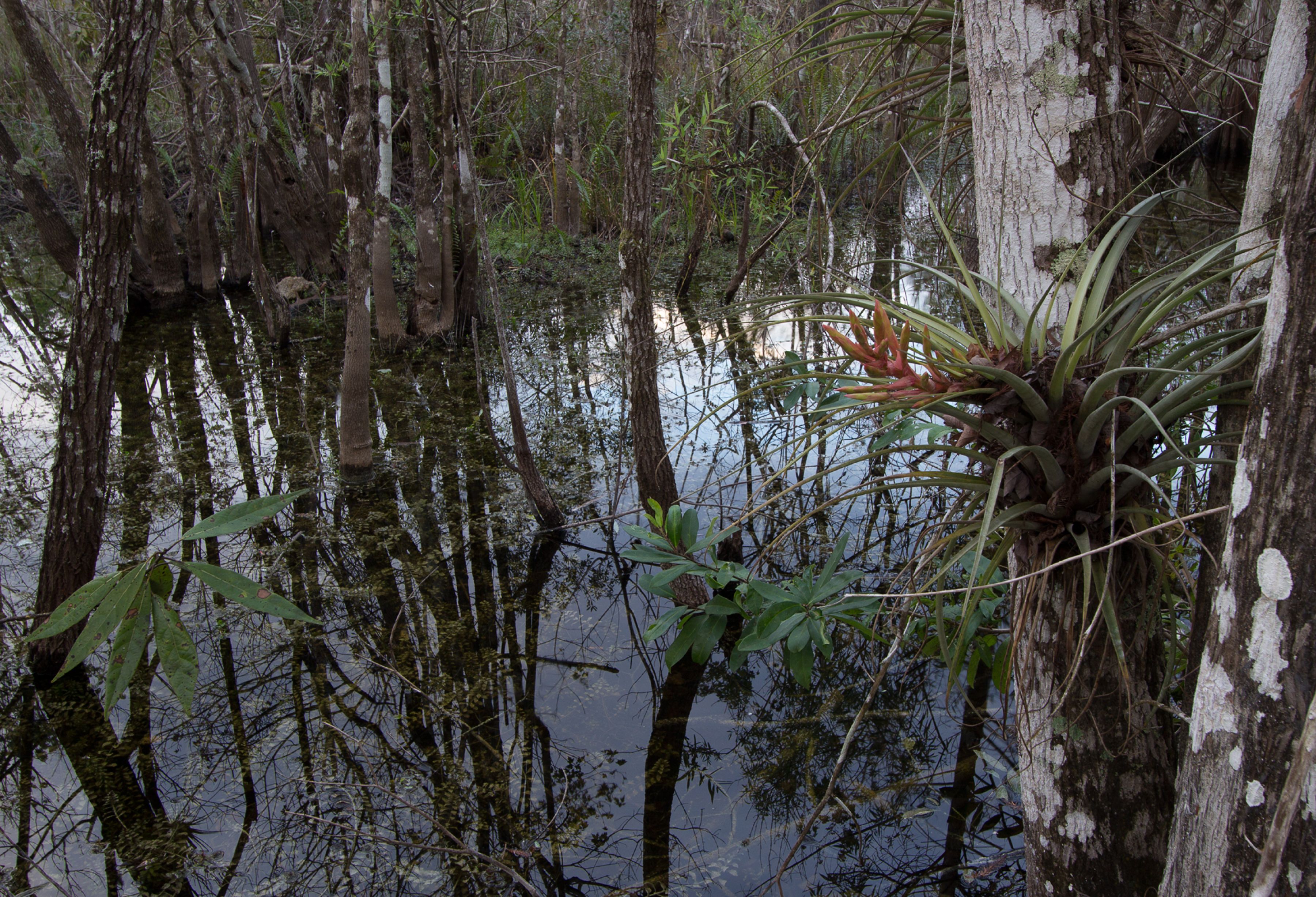 Florida :: Vertical Garden Design