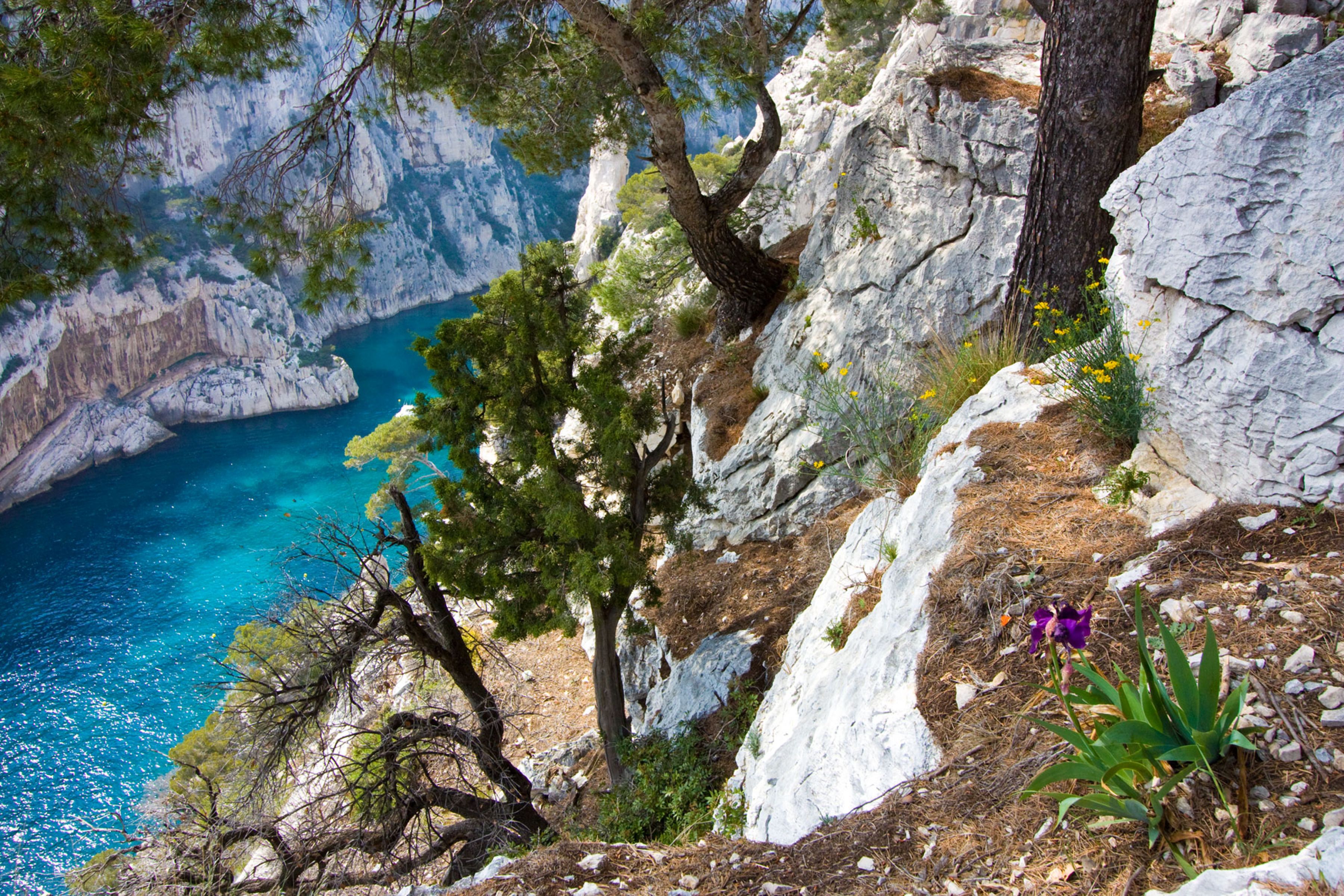 Les Calanques :: Vertical Garden Design