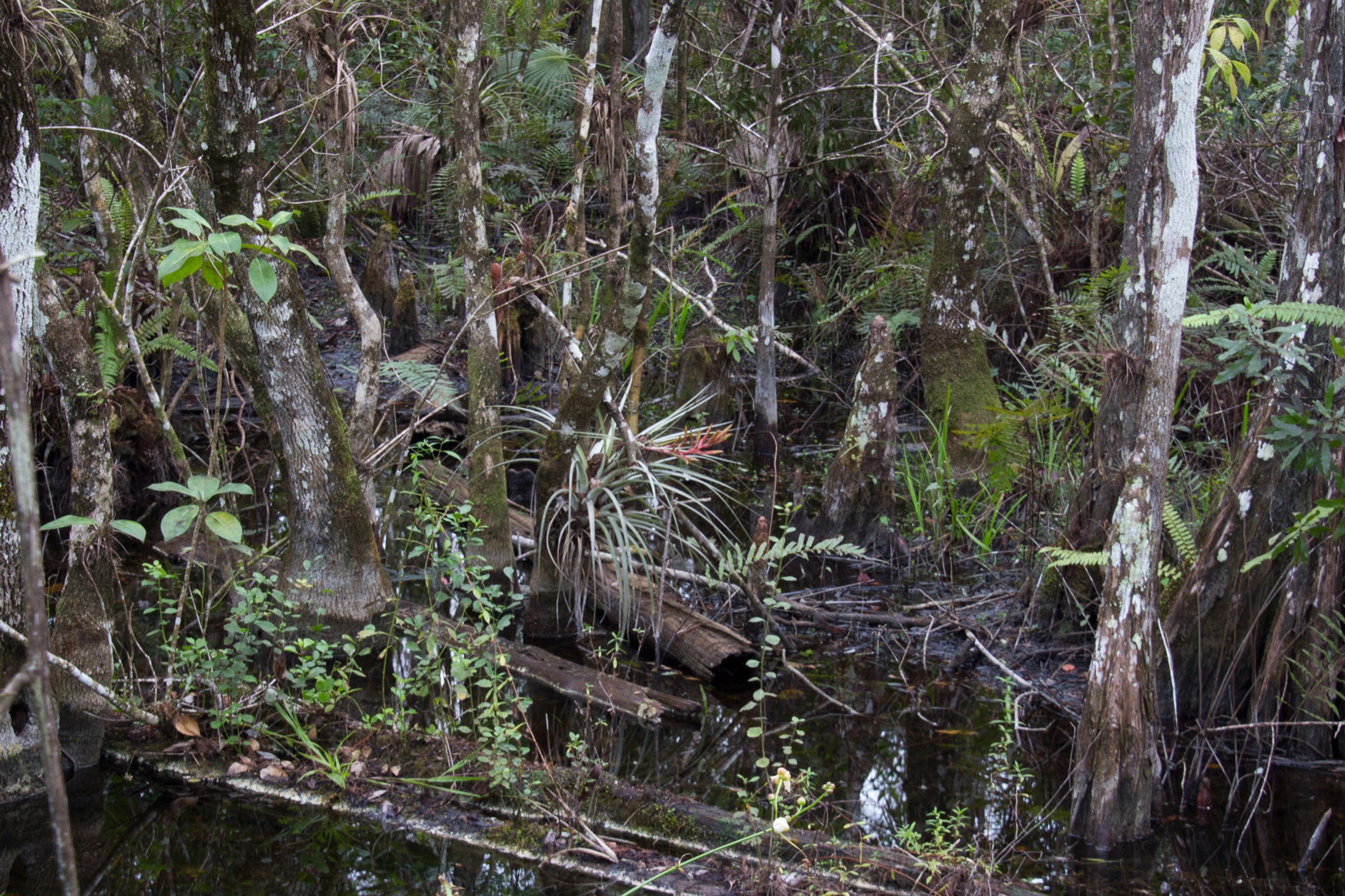 Florida :: Vertical Garden Design