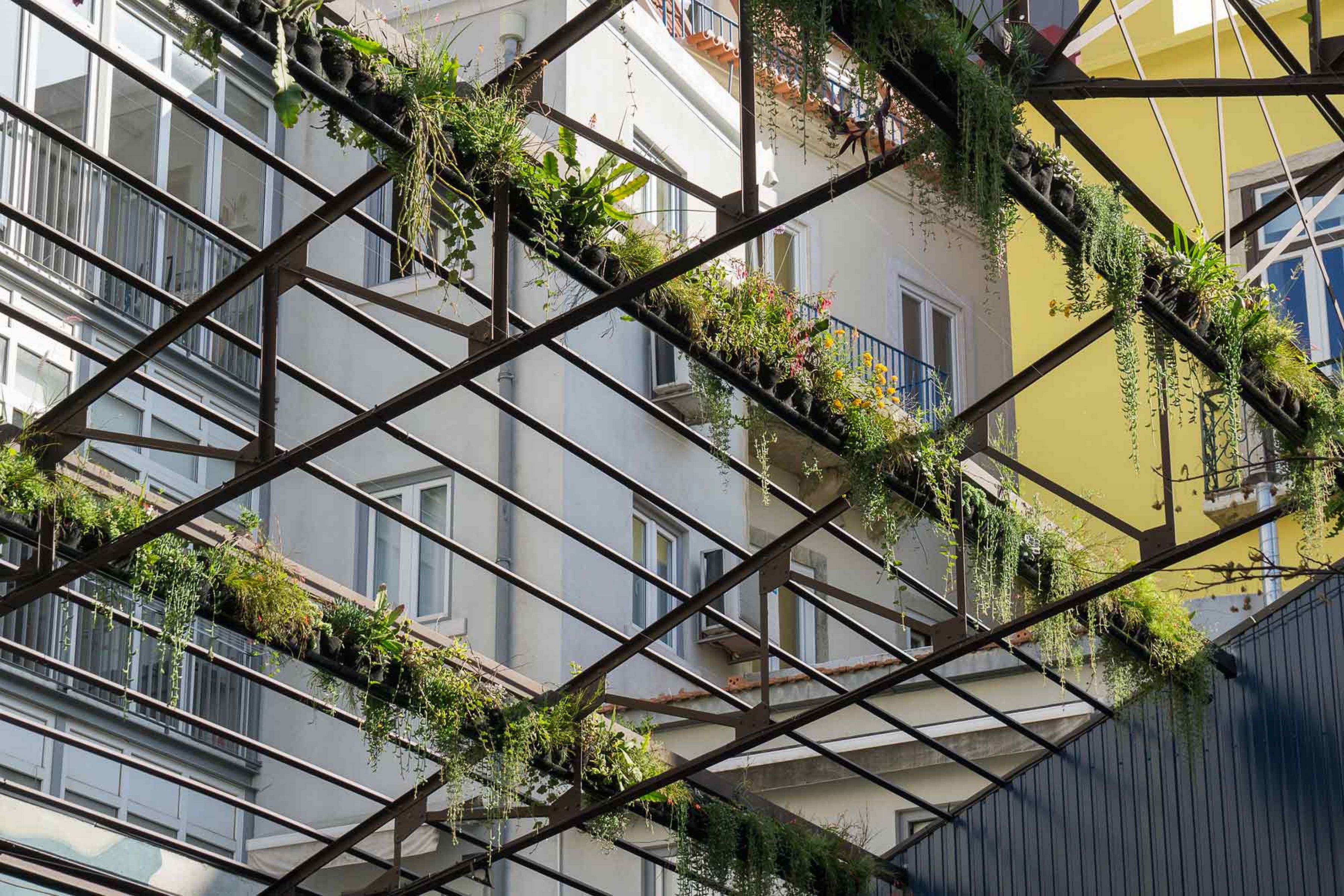 Hotel Hotel | Vertical Garden Design