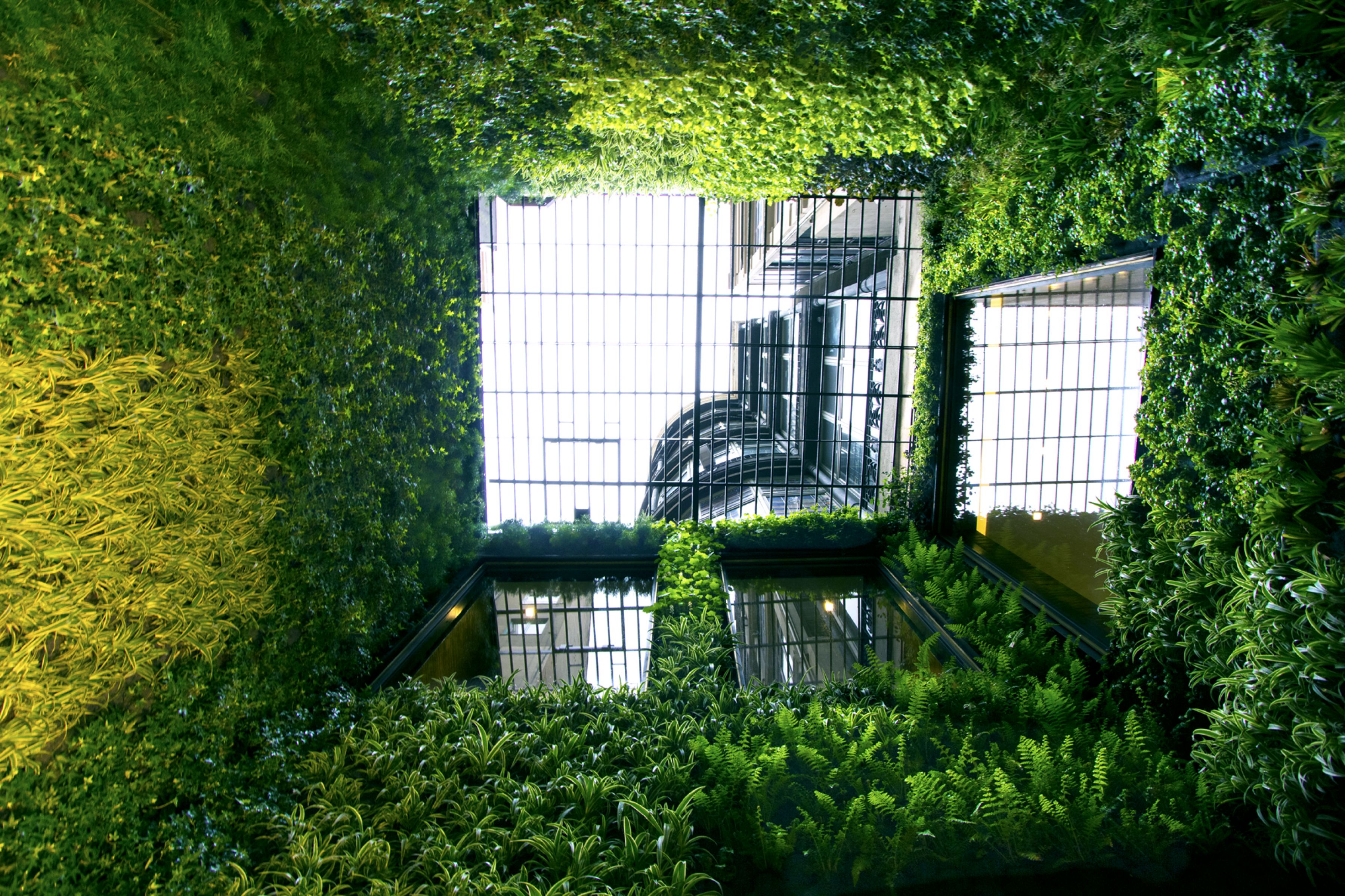 Loewe | Vertical Garden Design