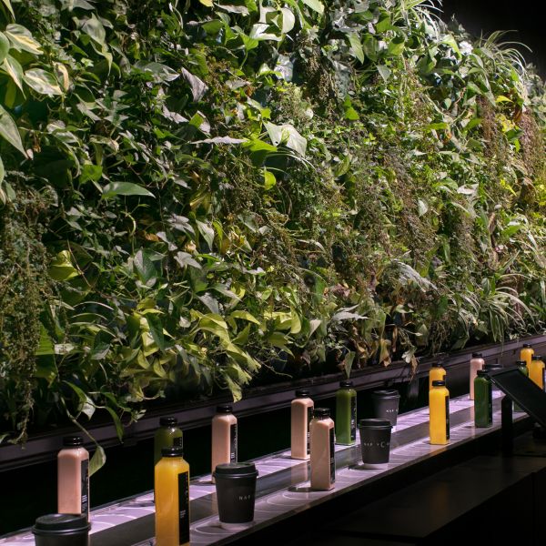 Projects | Vertical Garden Design