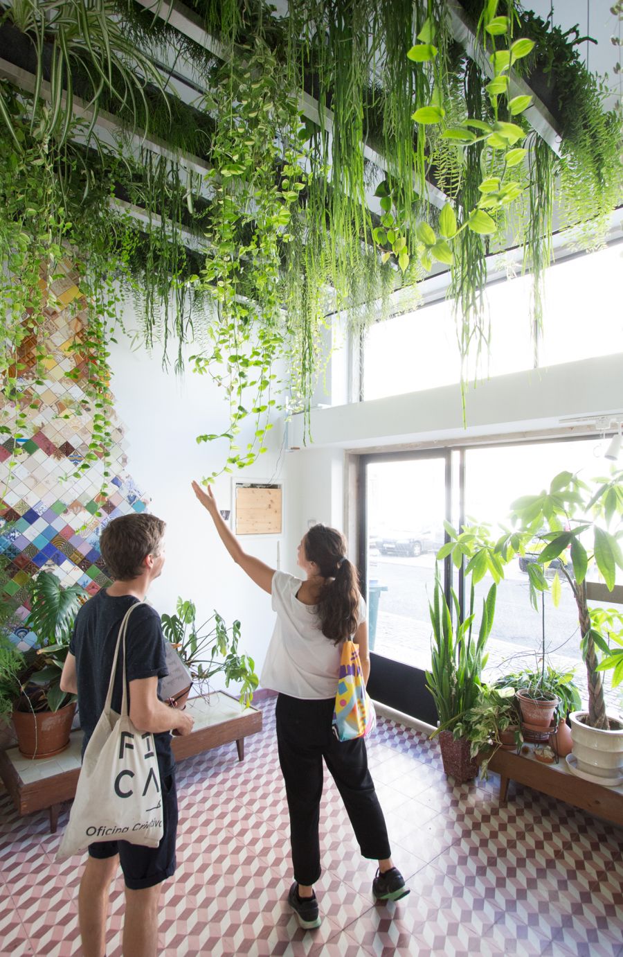 Pedrita | Canopy | Plant ceiling | Vertical Garden Design