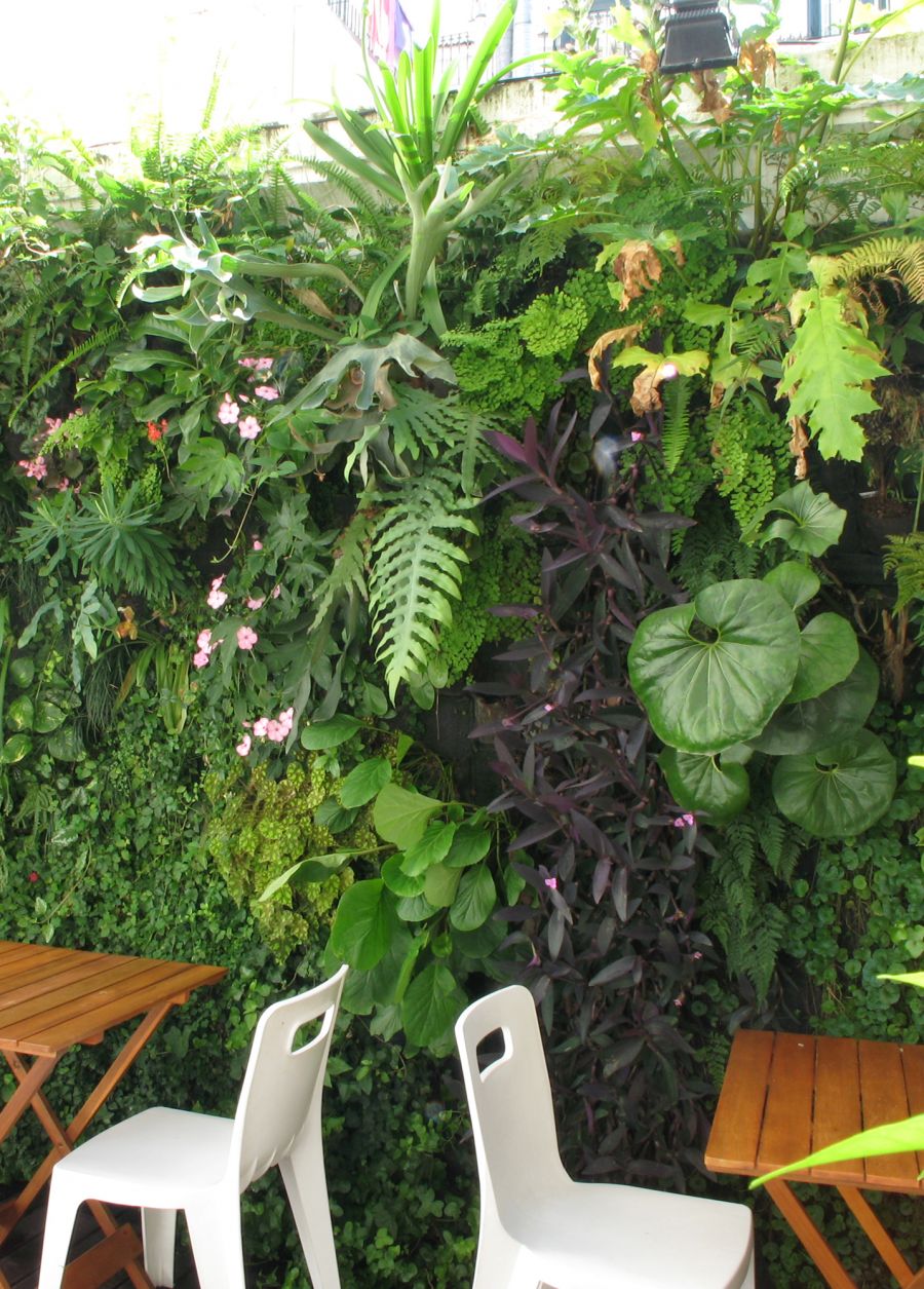Café Royale :: Vertical Garden Design