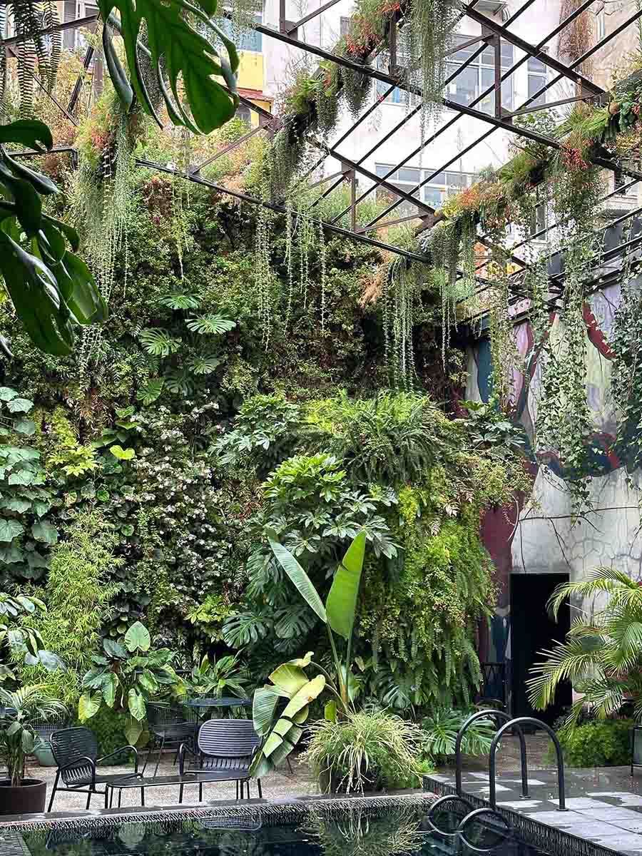 Canopy | Plant ceiling | Vertical Garden Design