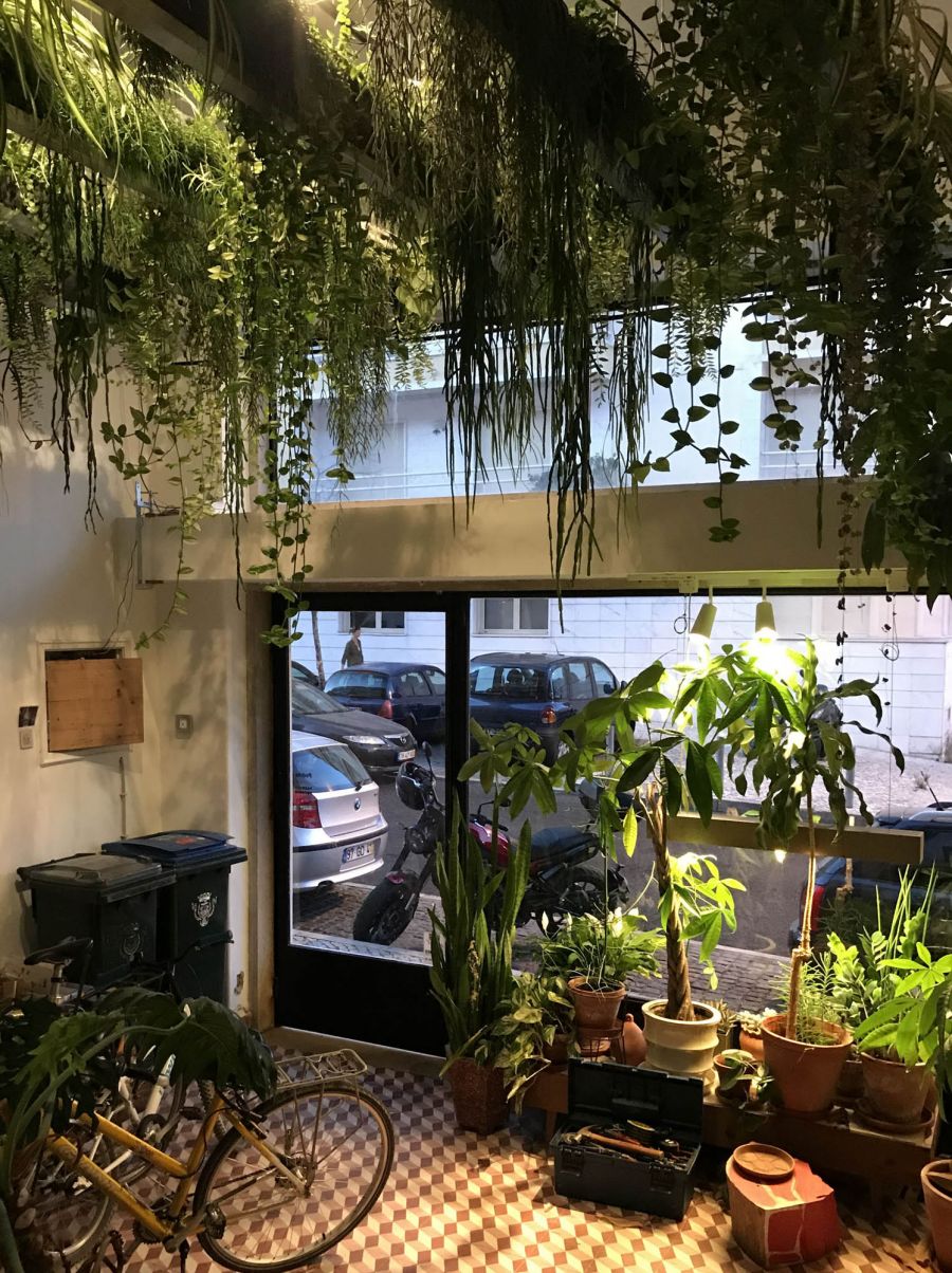 Canopy | Plant ceiling | Vertical Garden Design