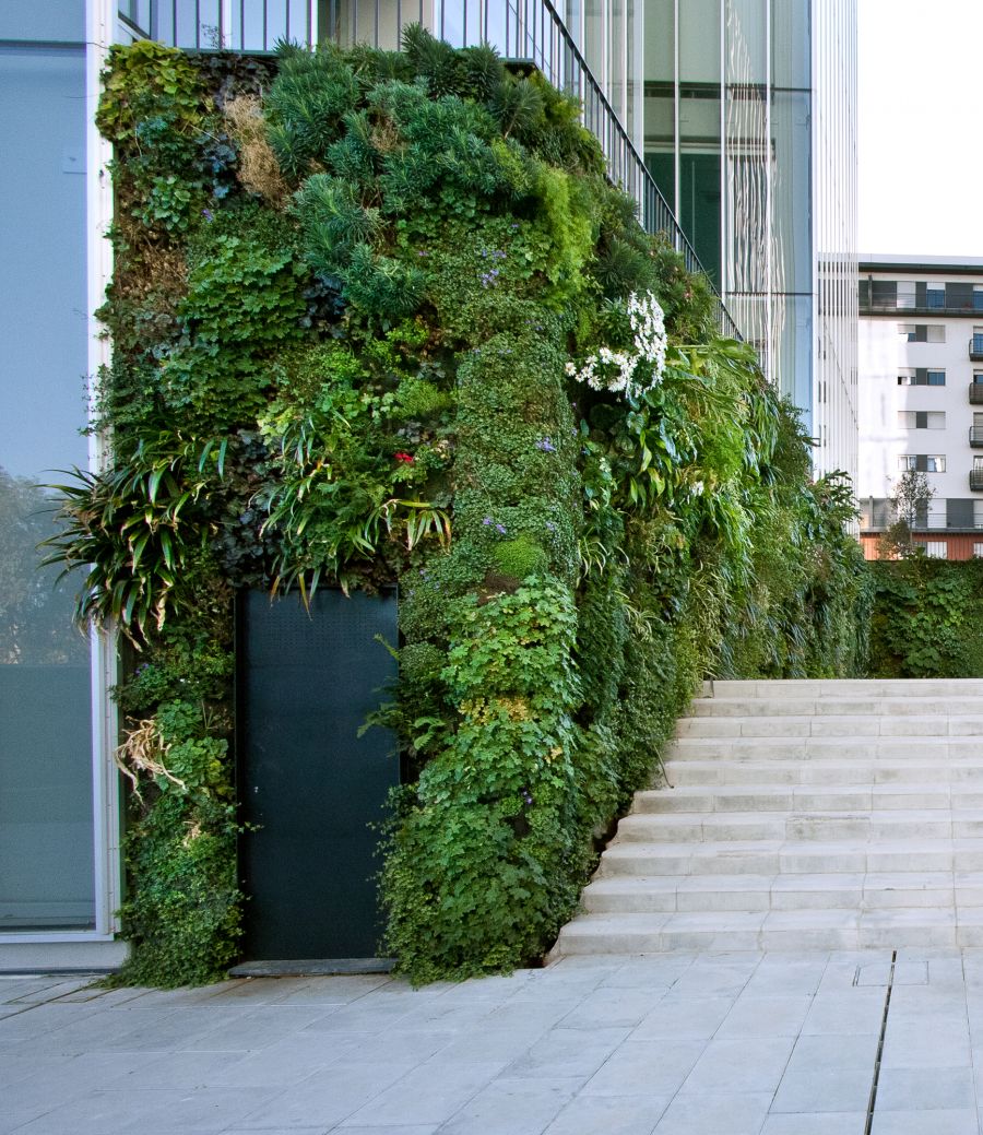 MSF | Vertical Garden Design