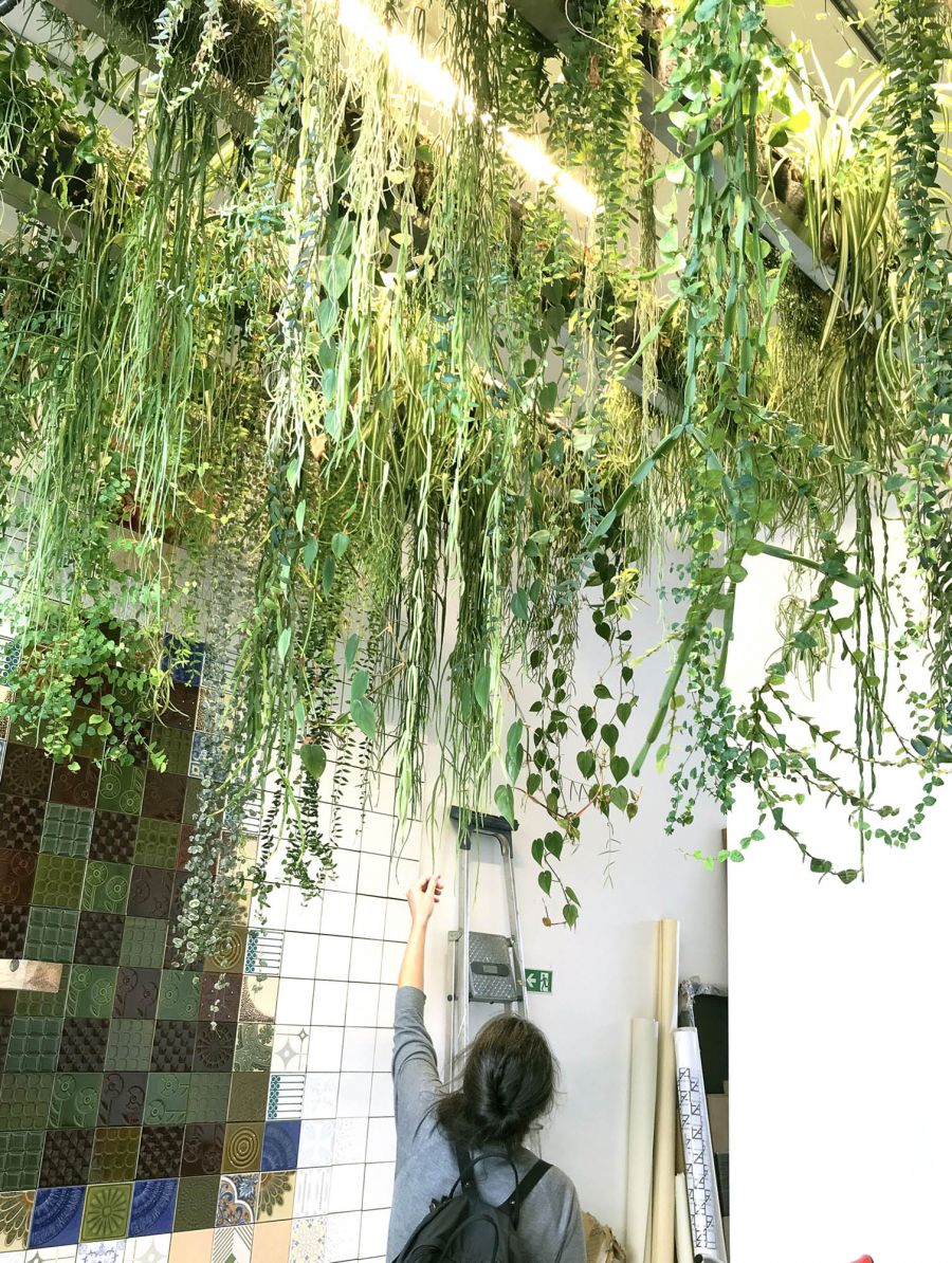 Canopy | Plant ceiling | Vertical Garden Design