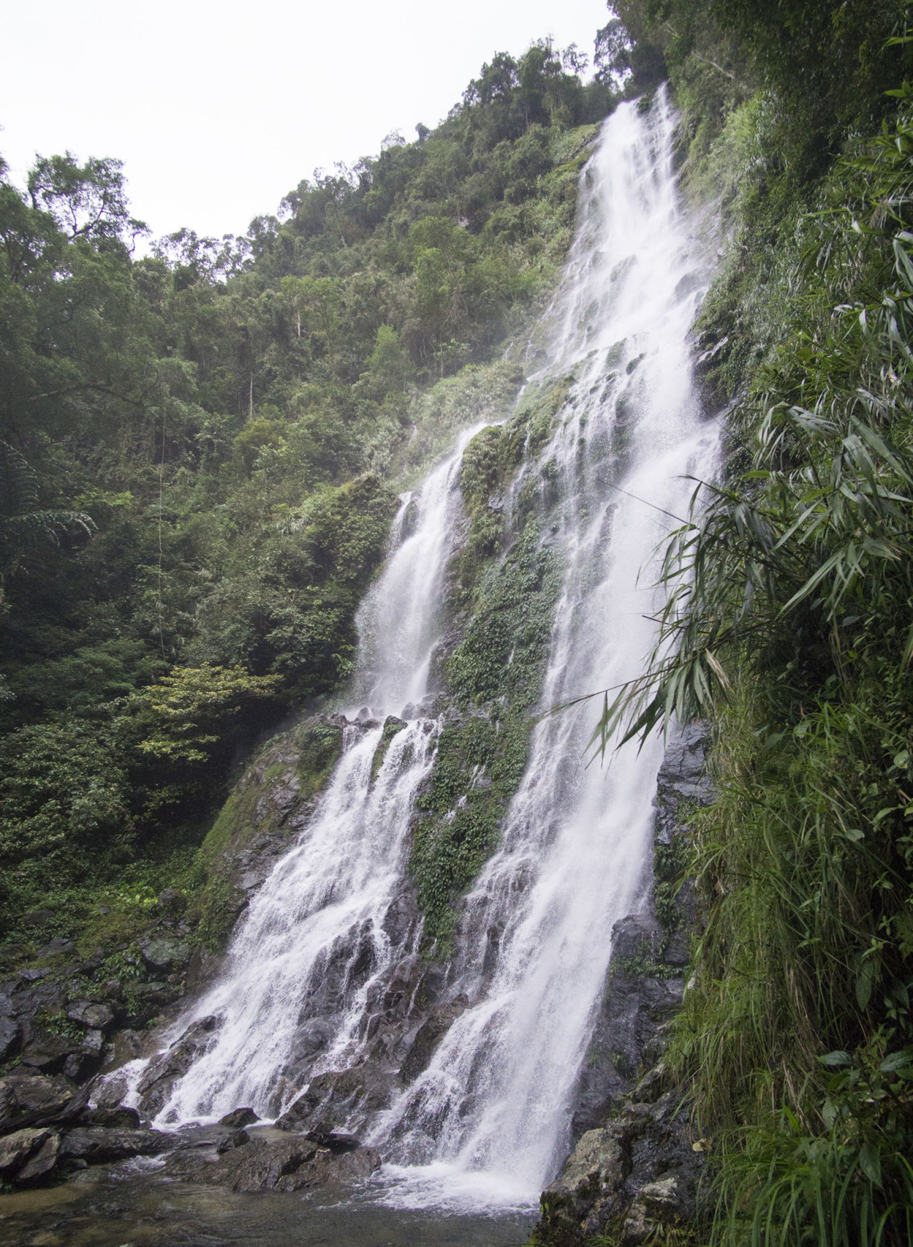 Mt Kinabalu :: Vertical Garden Design