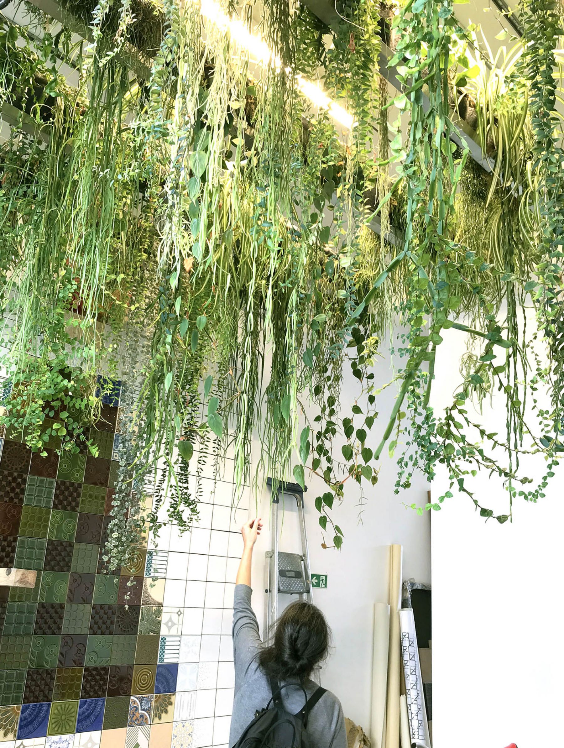 Canopy | Plant ceiling | Vertical Garden Design